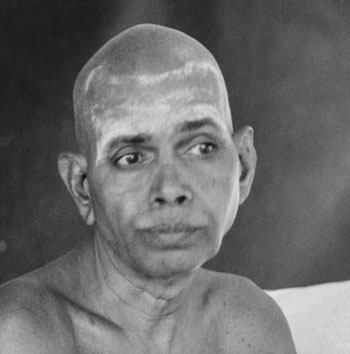 The Power to Enlighten - David Godman