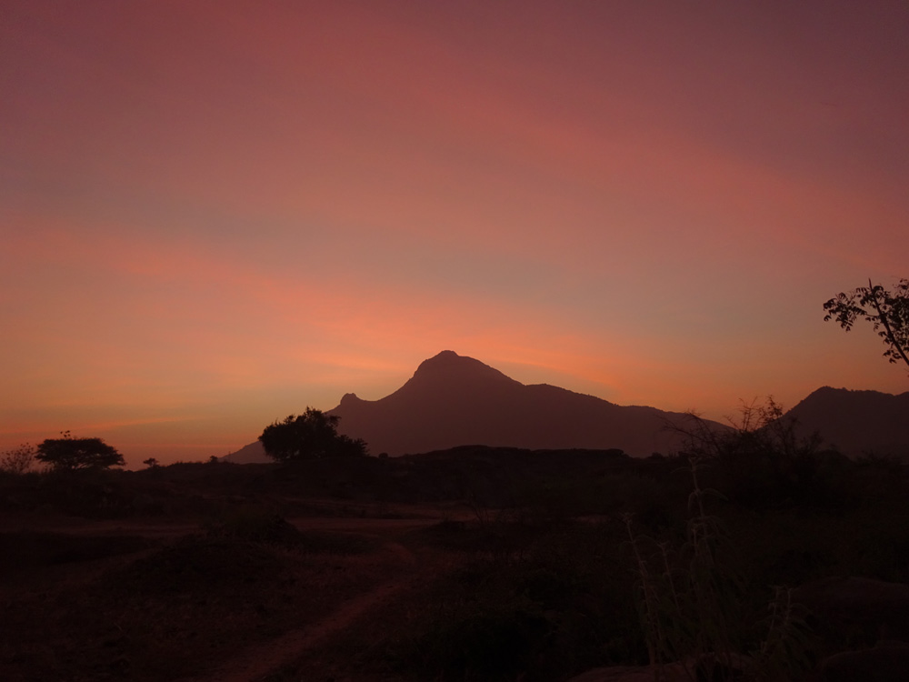 The Power of Arunachala - David Godman